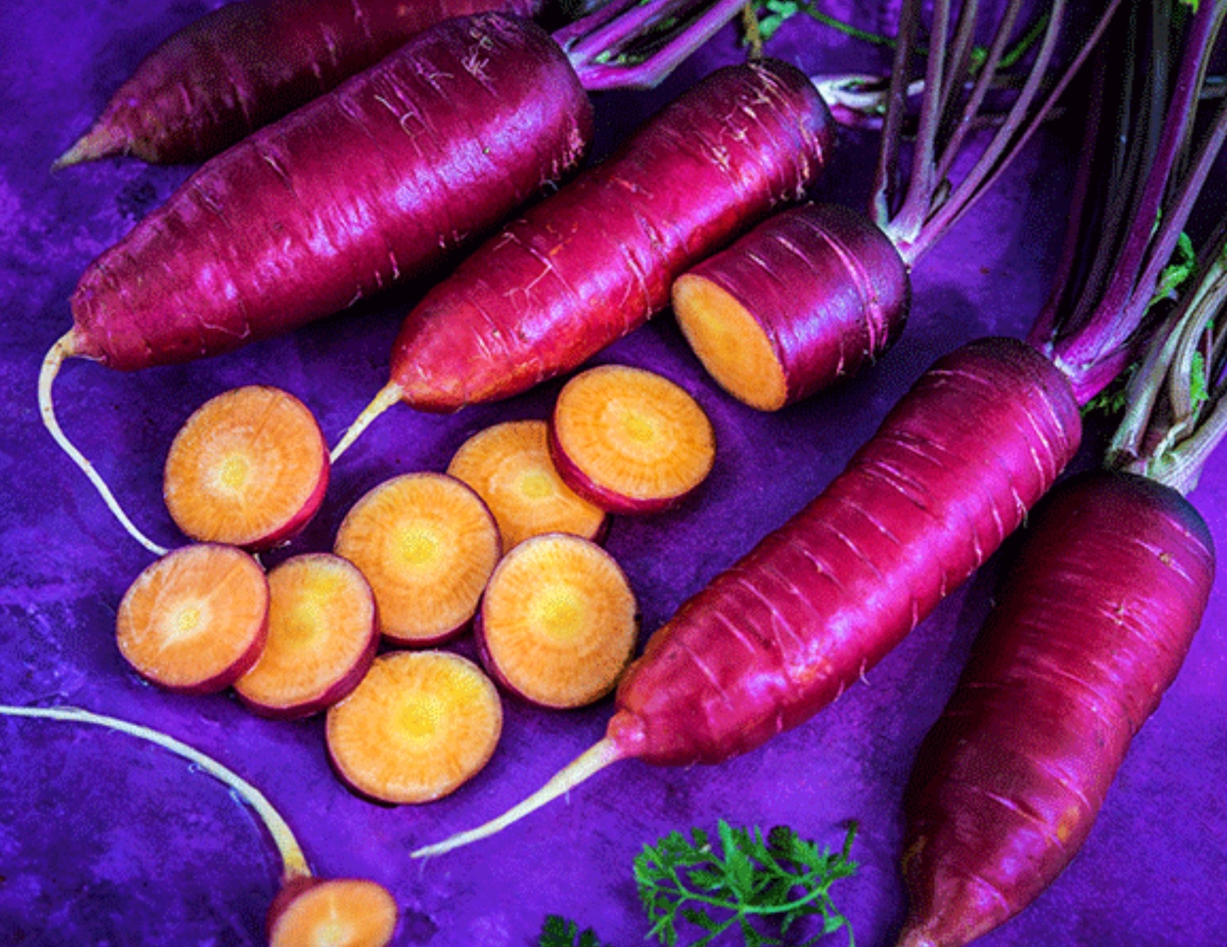 New Kuroda carrots « Gardening and Hiking Adventures